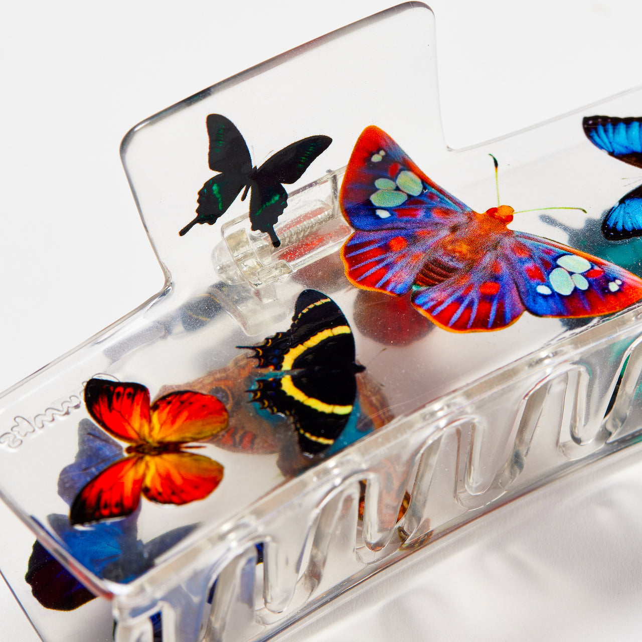Box Claw in Butterfly – Shop Chunks