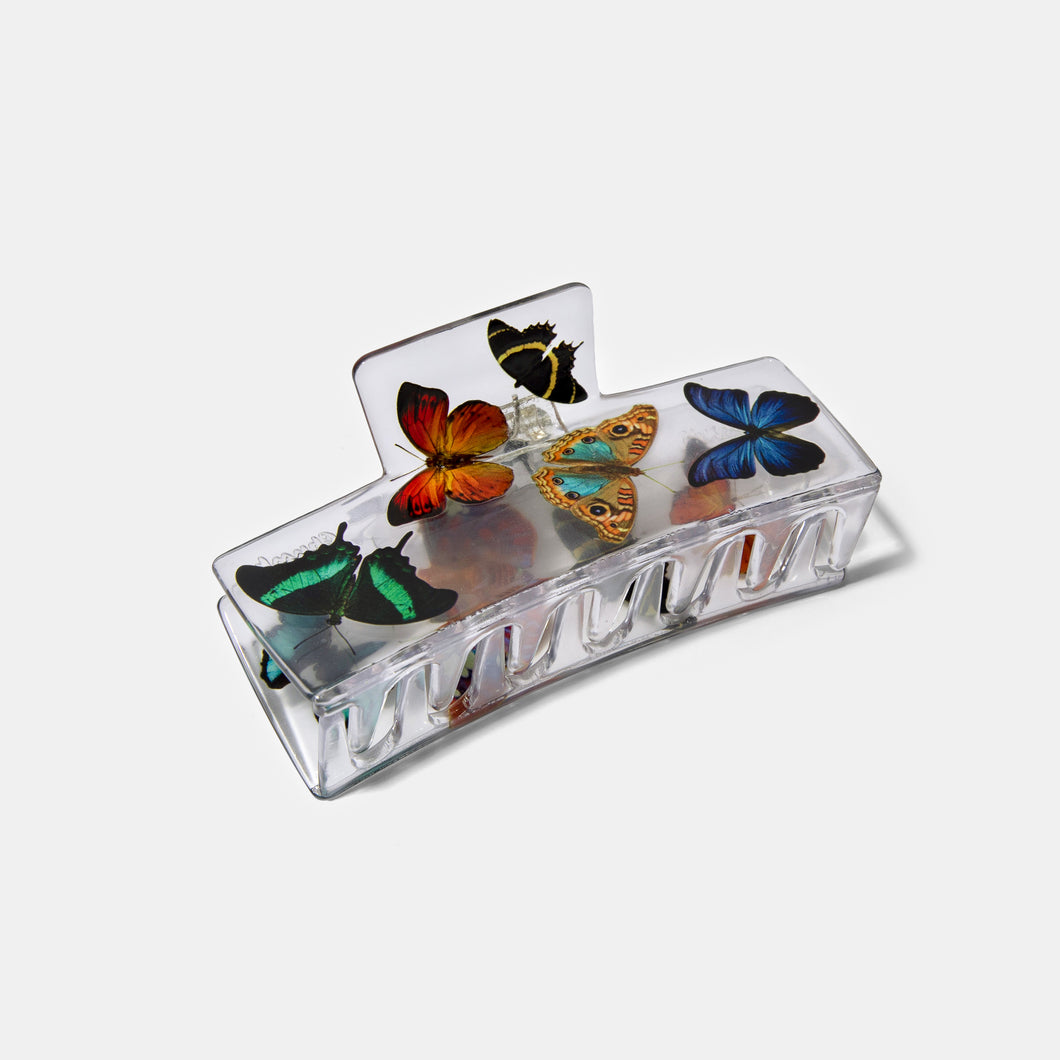 Box Claw in Butterfly – Shop Chunks