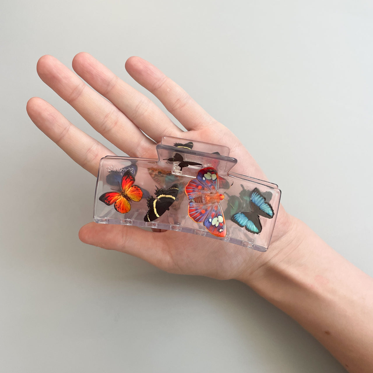 Box Claw in Butterfly – Shop Chunks